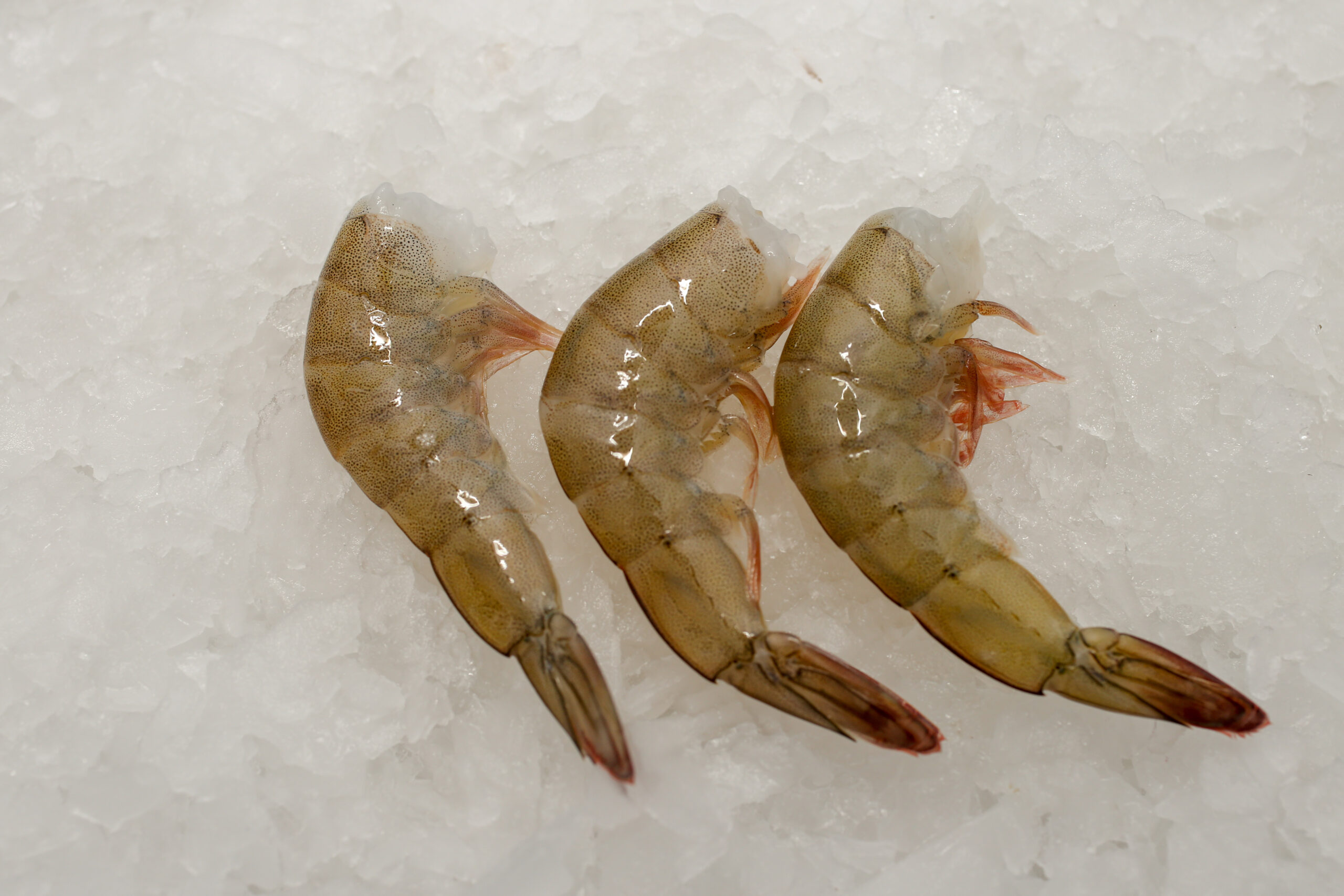 HLSO COOKING QUALITY - Roda International Group