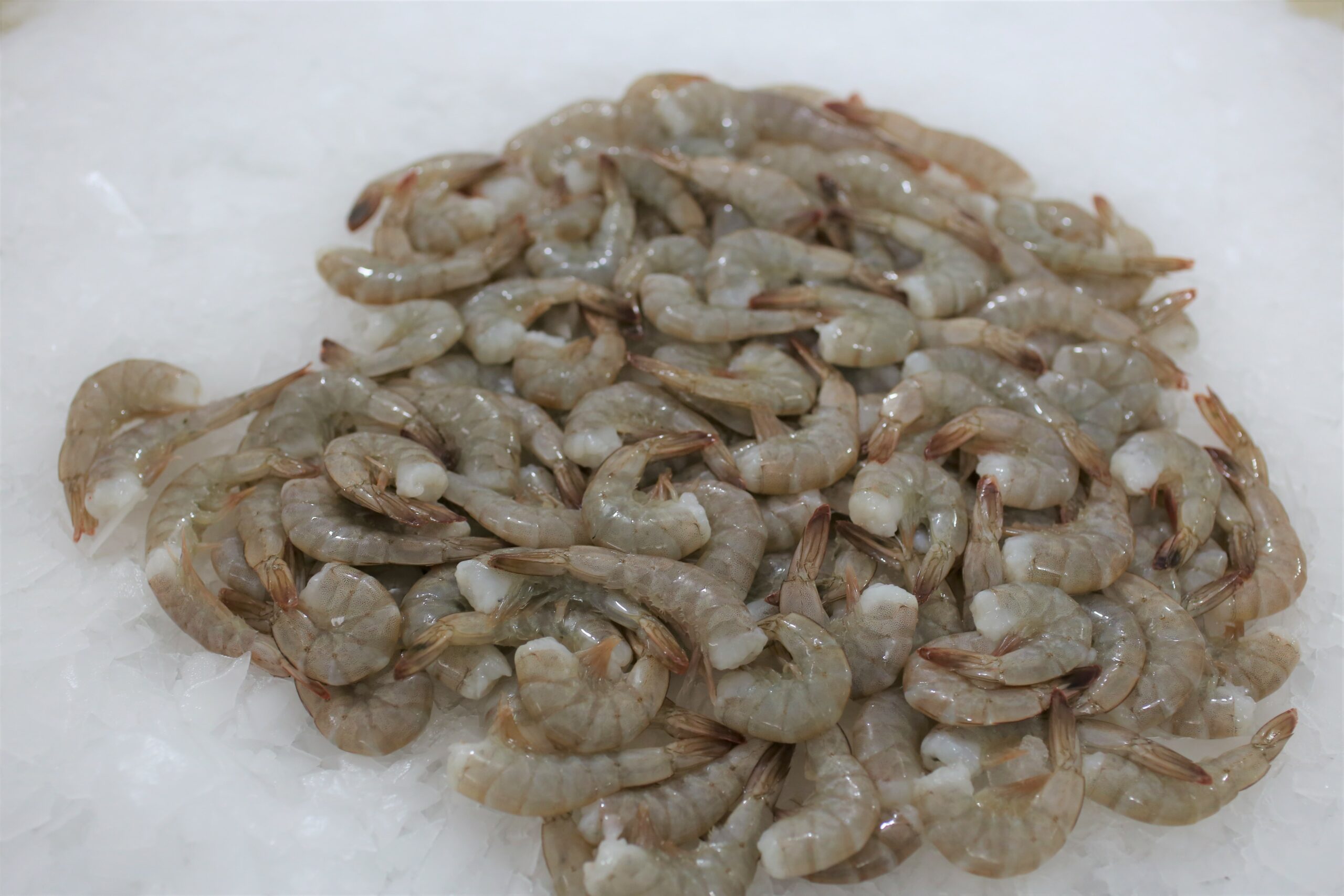 HLSO BRINE BULK - Roda International Group