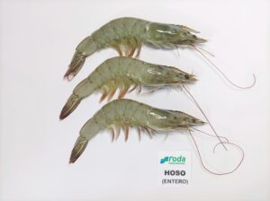 HOSO cooking quality shrimp - Roda International Group