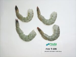 PUD shrimp tail on 1kg bag - Shrimp Supplier - Roda International Group