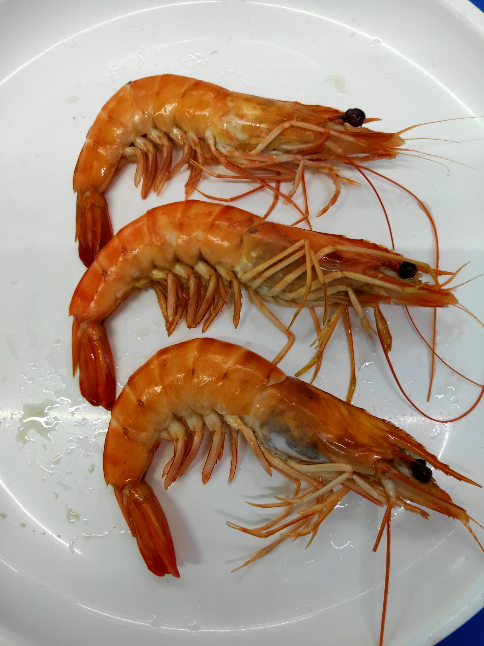 BLACK TIGER HOSO 40/50 to 70/80 BOX 800g - Roda International Group